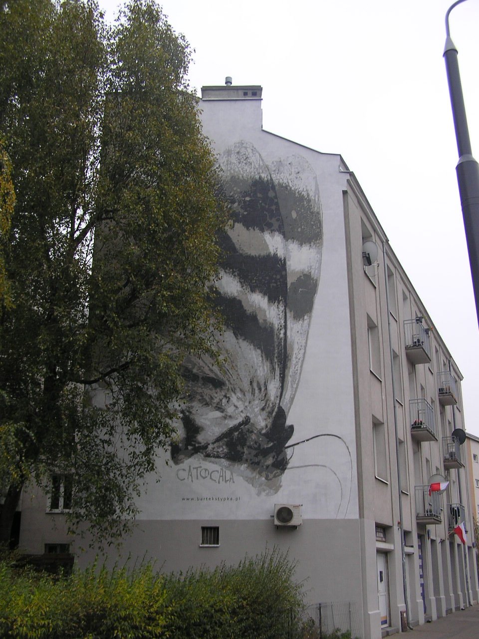 Mural "Catocala" - 11 Listopada 54 - Twoja Praga